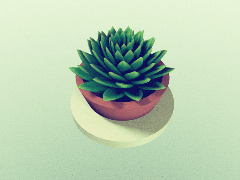 Looping Succulent Gif : perfectloops